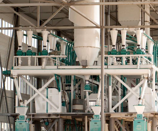 Grain Mill Plant Manufacturer | Fully Automatic Flour Processing Machinery