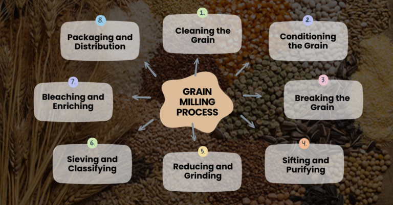 The 8-Step Grain Milling Process: Complete Guide 2025