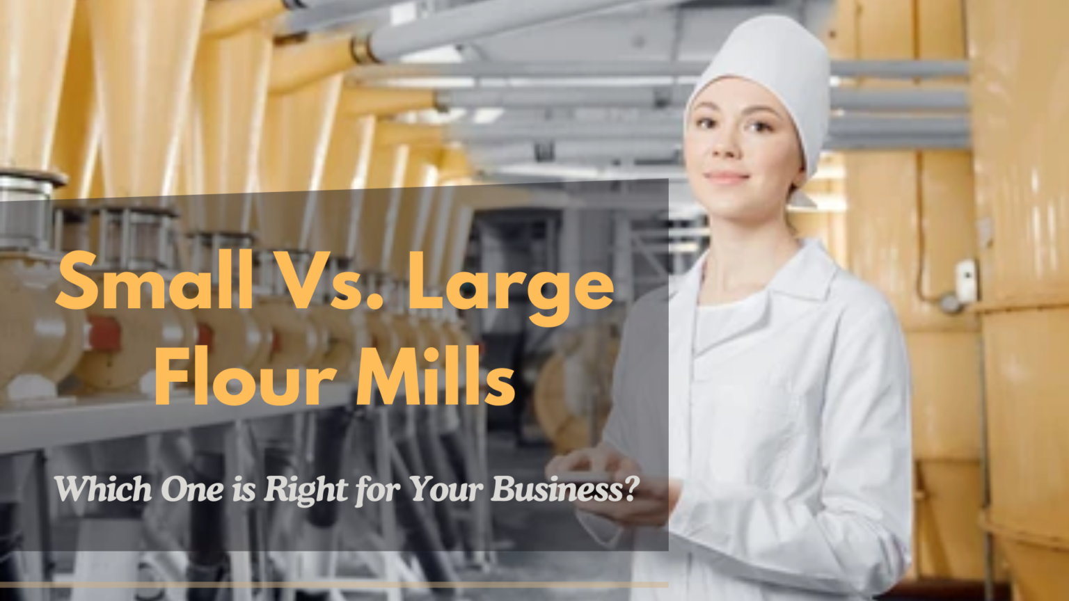Small vs. Large Flour Mills: Which One is Right for Your Business?