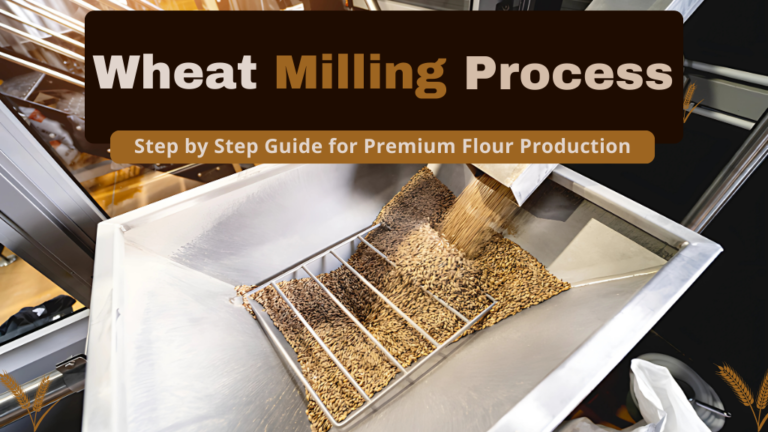 Wheat Milling Process - Step by Step Guide for Flour Production
