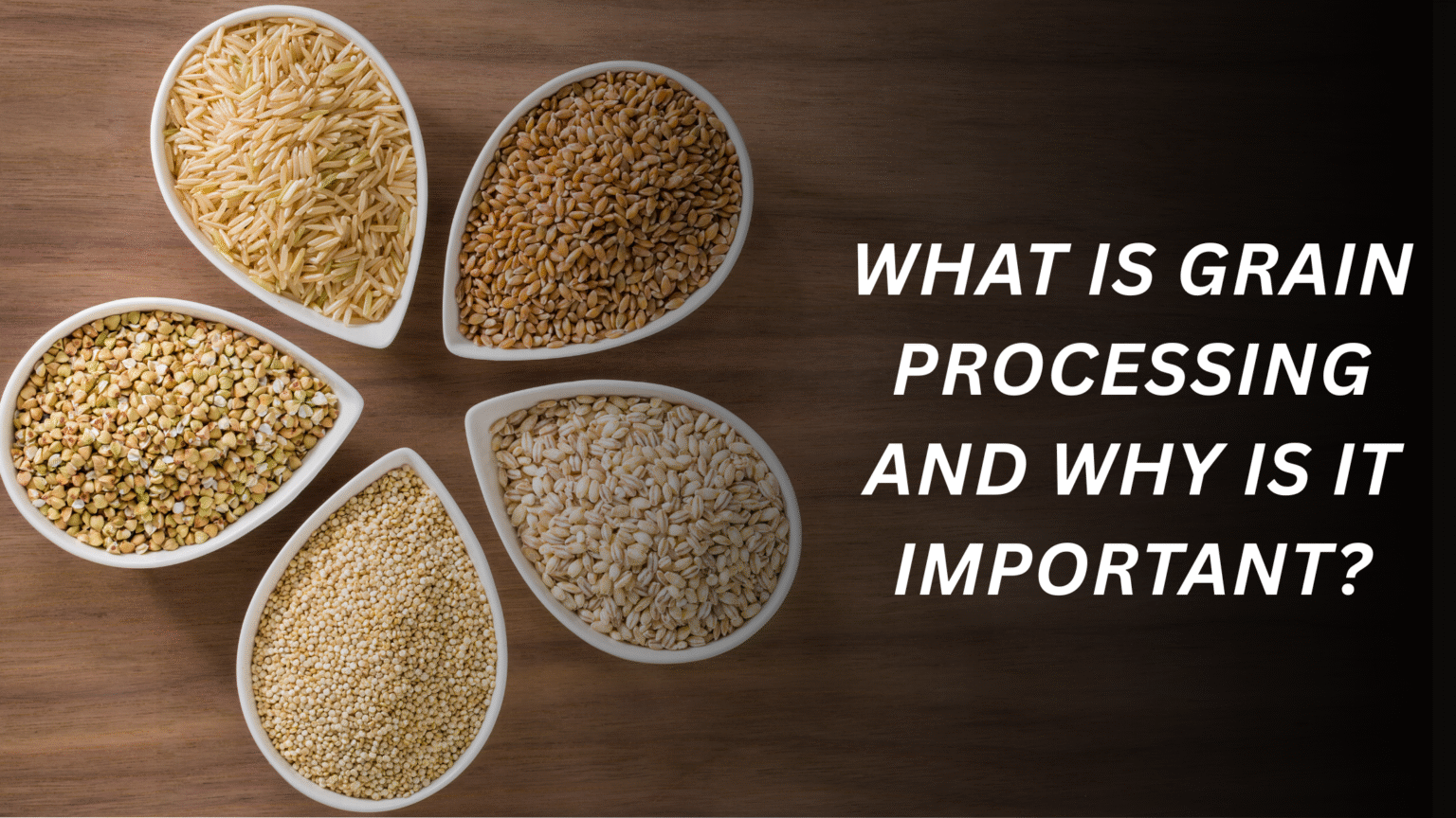 The 8-Step Grain Milling Process: Complete Guide 2025
