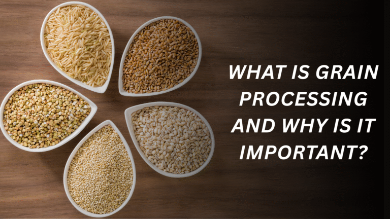What is Grain Processing and Why is it Important?